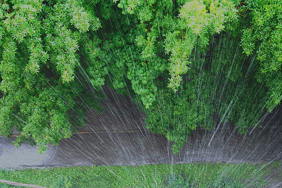 Ливень (Маслов Антон Евгеньевич) / Проза.ру