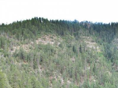 след кометы (Толкование Снов) / Проза.ру