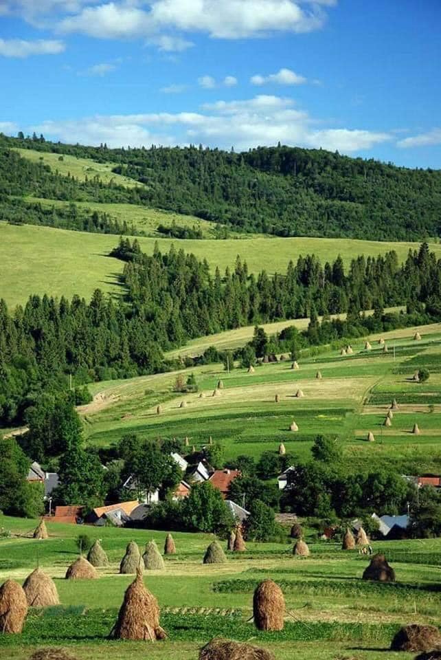 Сорок сороков (Алексей Курганов) / Проза.ру